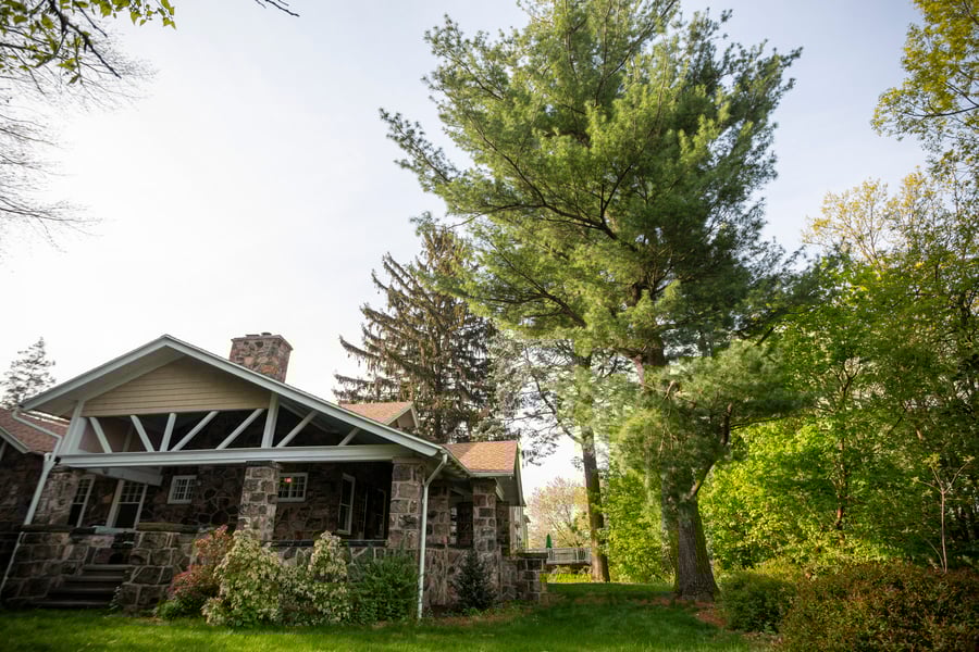 Winter Tree Watering: How & When to Address Tree Water Loss in Winter