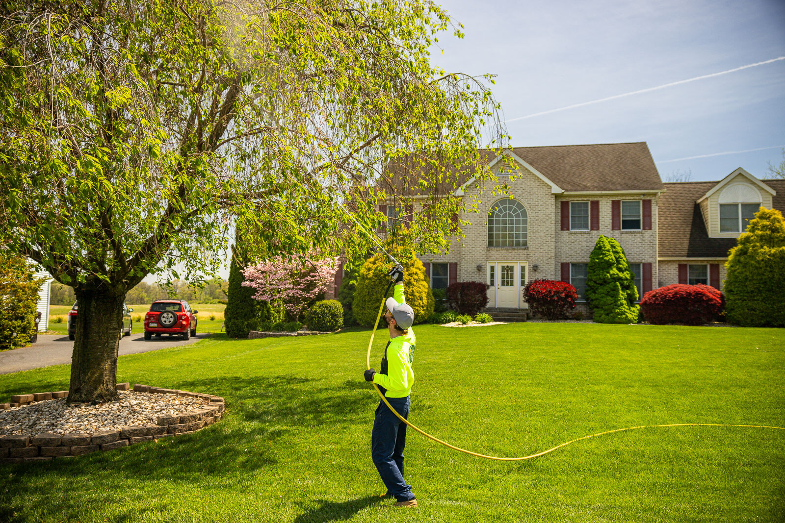 Scale on Trees and Shrubs: Identification, Treatment, & Prevention