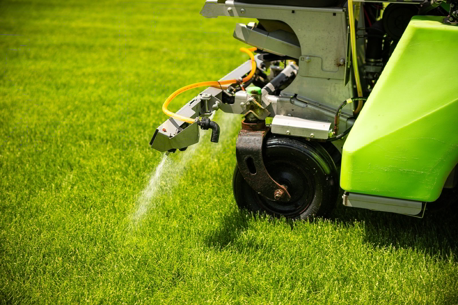 Understanding Pre-emergent vs. Post-emergent Weed Control