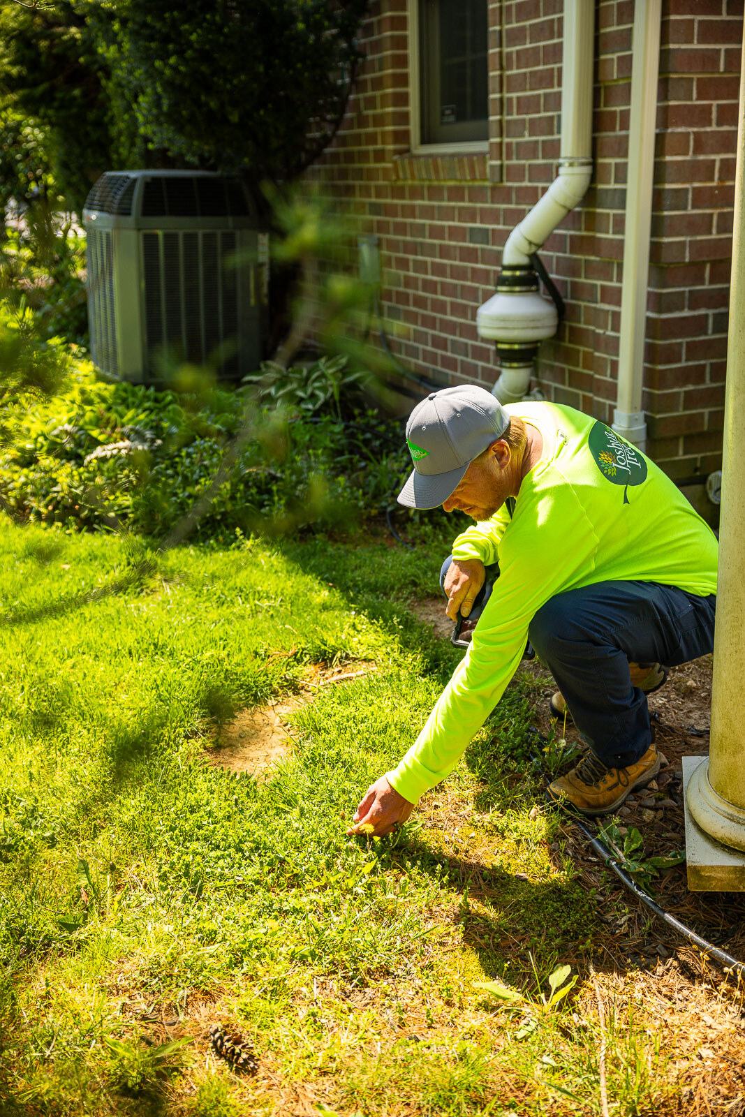 Lawn Rust: 7 Steps to Prevent & Treat Orange Dust in Your Lawn