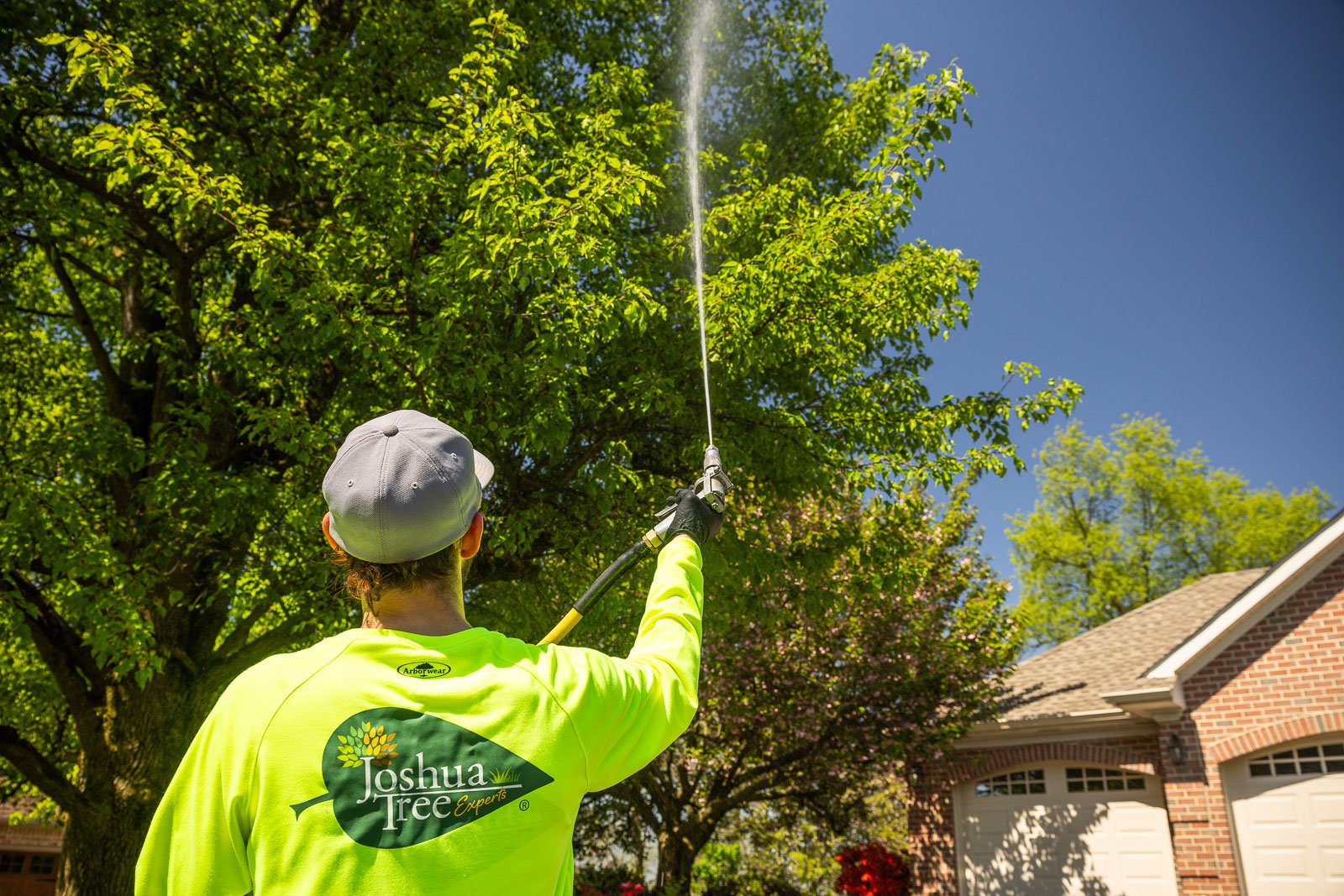 7 Signs That Your Trees & Shrubs May Be in Imminent Danger