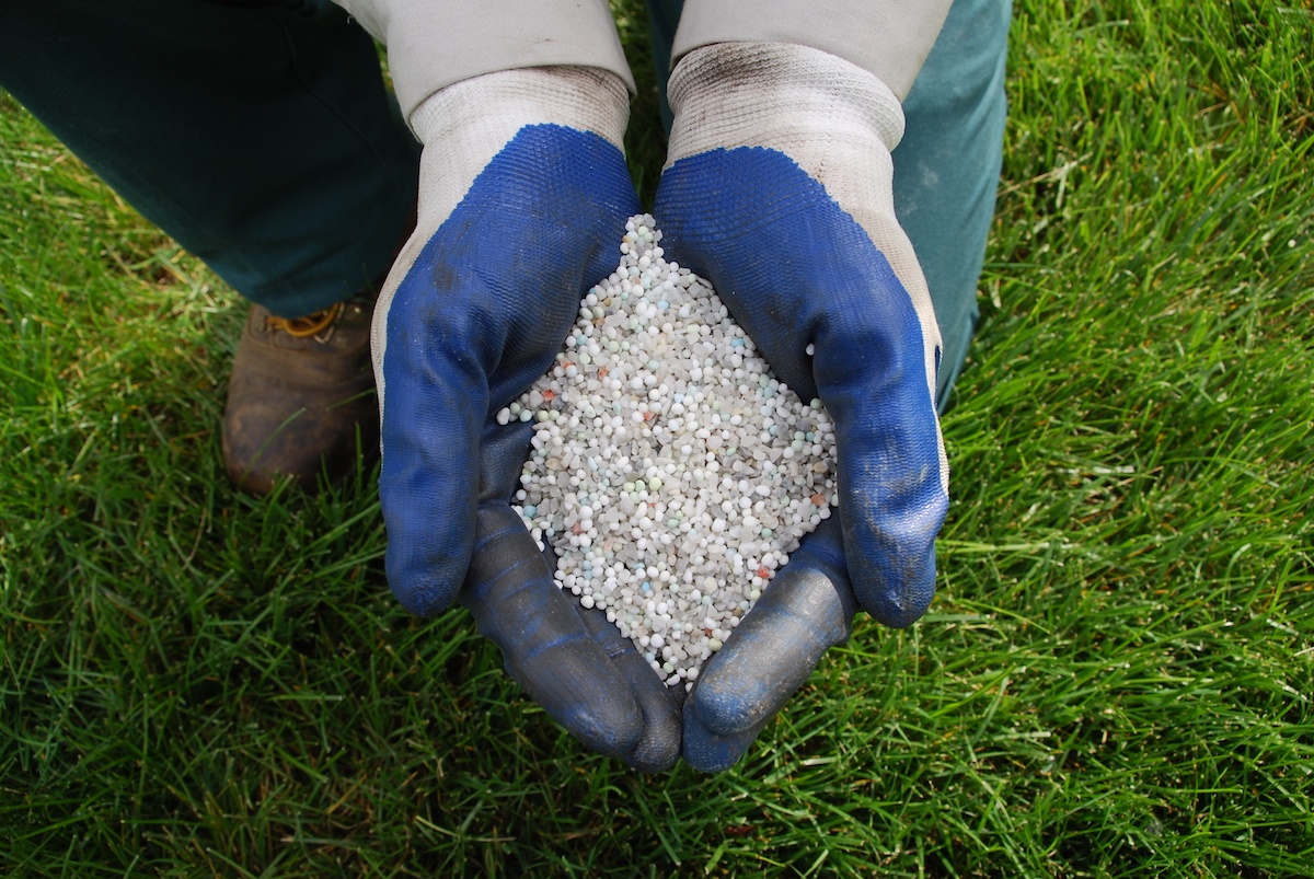 How To Fix Dead Grass Areas What To Do And What Not To Do