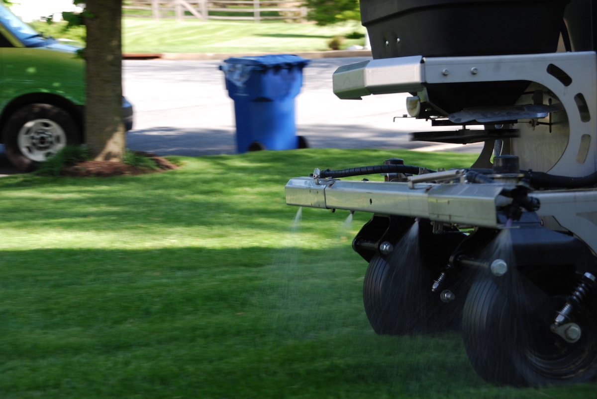 8 Troublesome Spring Lawn Weeds & How to Control Them