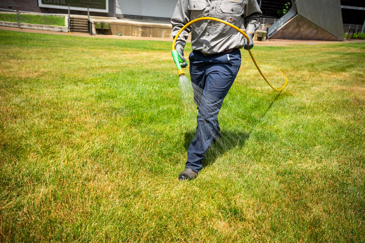 Understanding Pre-emergent vs. Post-emergent Weed Control