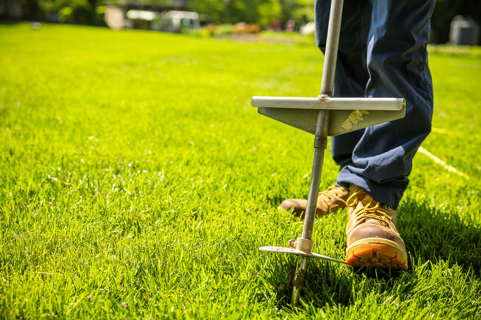 Deep Root Fertilization For Trees: What Are The Benefits and Costs?