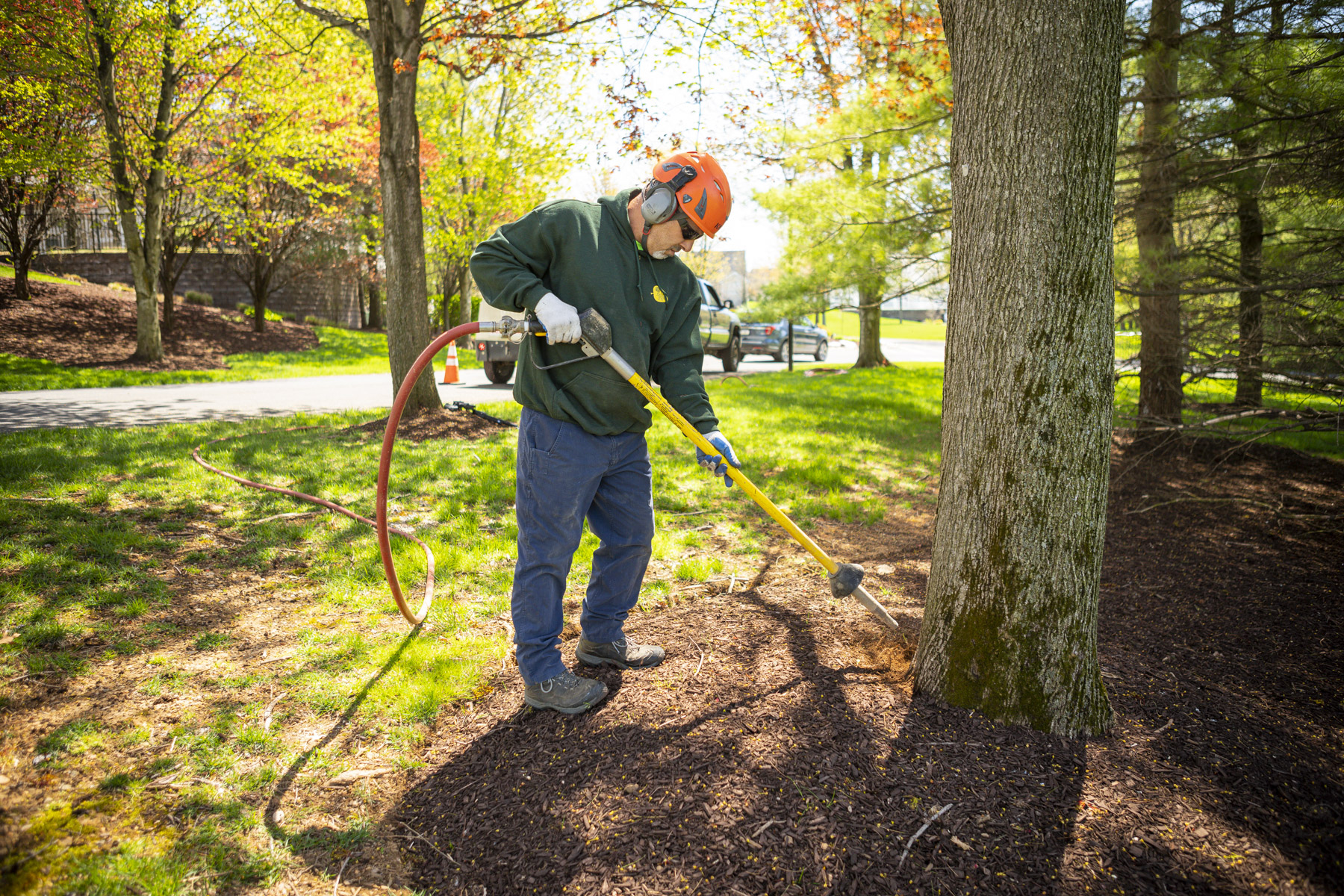 What is Root Collar Excavation & How Can It Help My Trees?