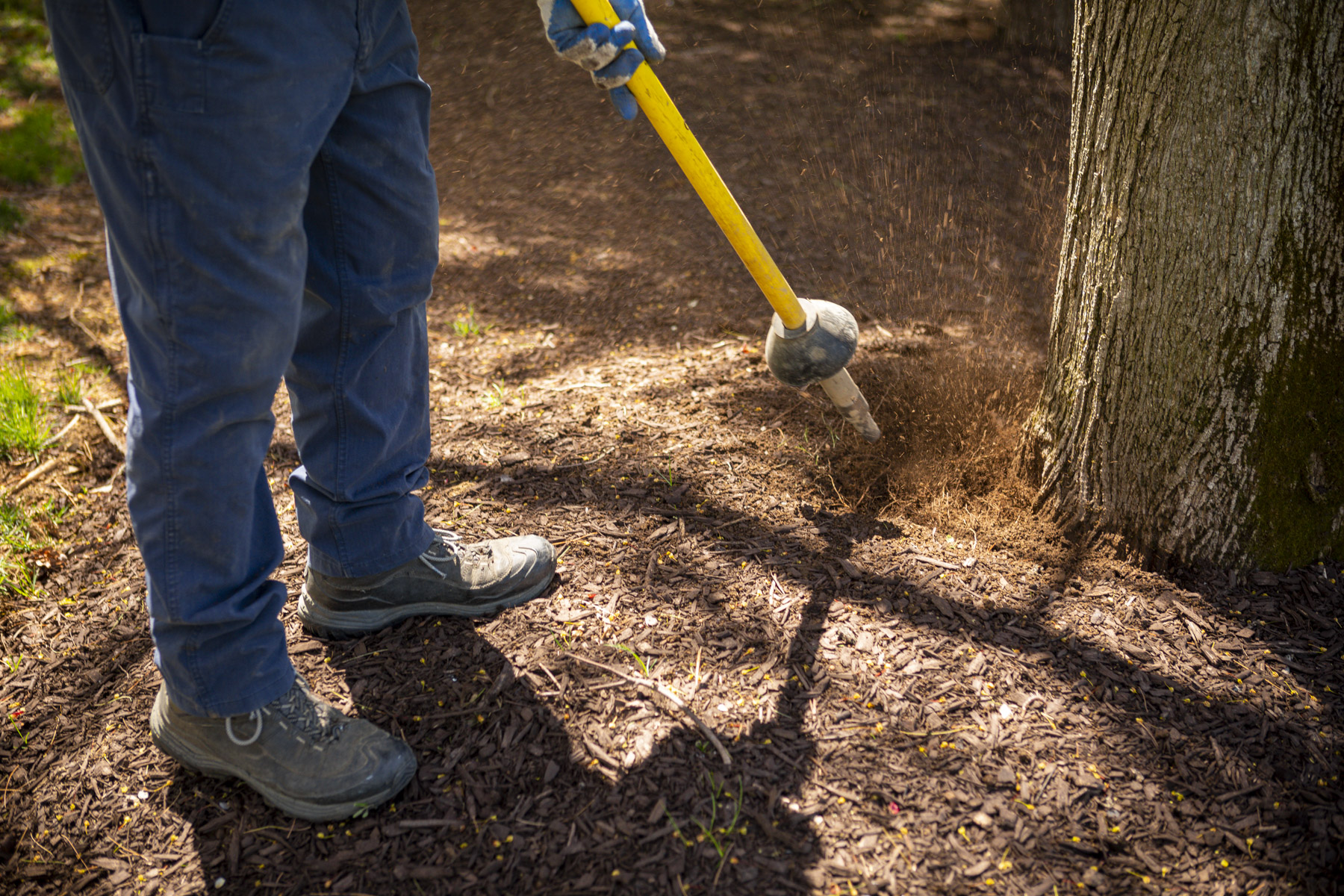 What is Air Spading and How Can it Help My Trees?