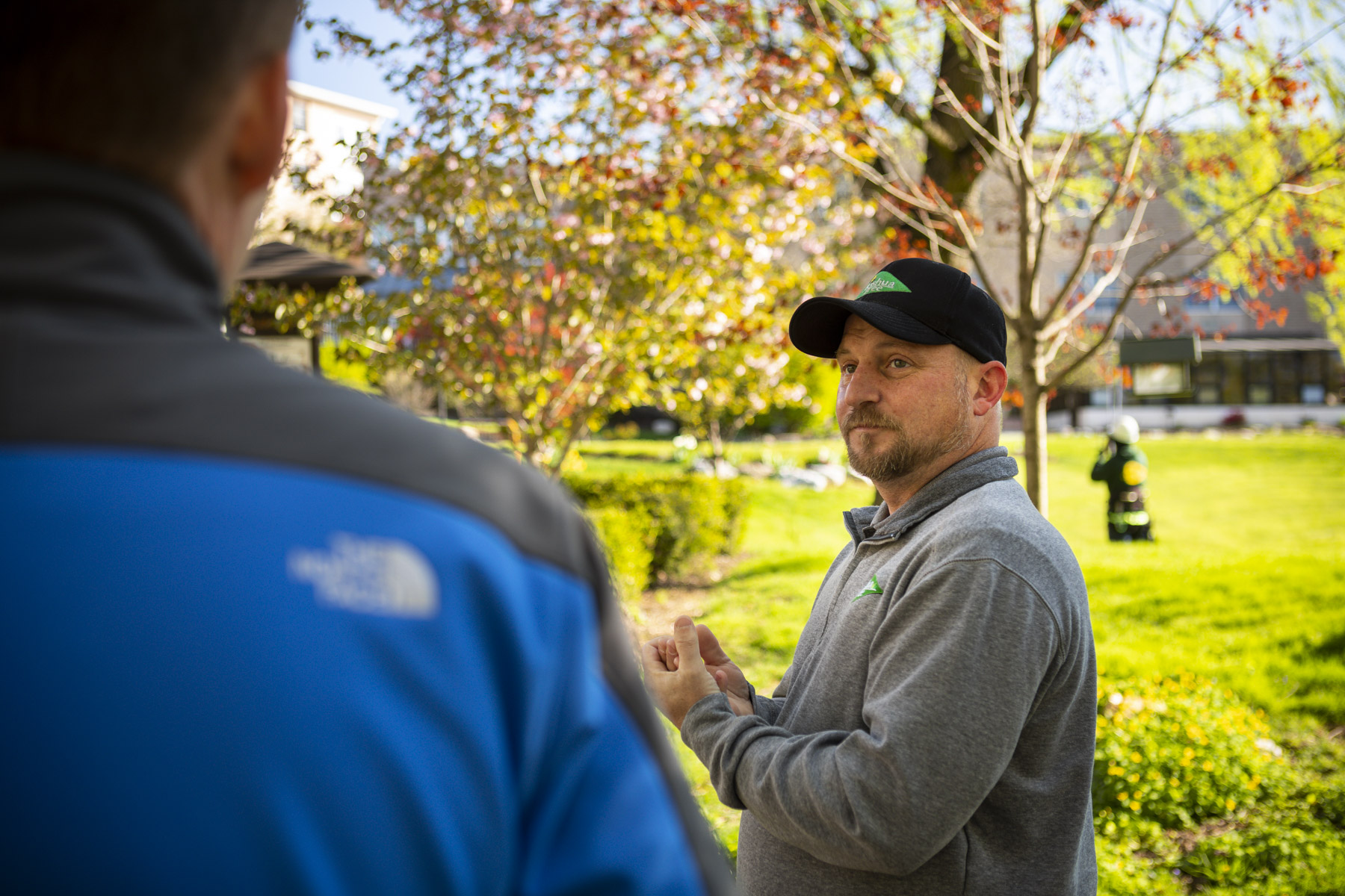 Neighbors & Trees: Staying Courteous with Professional Trimming & Removal
