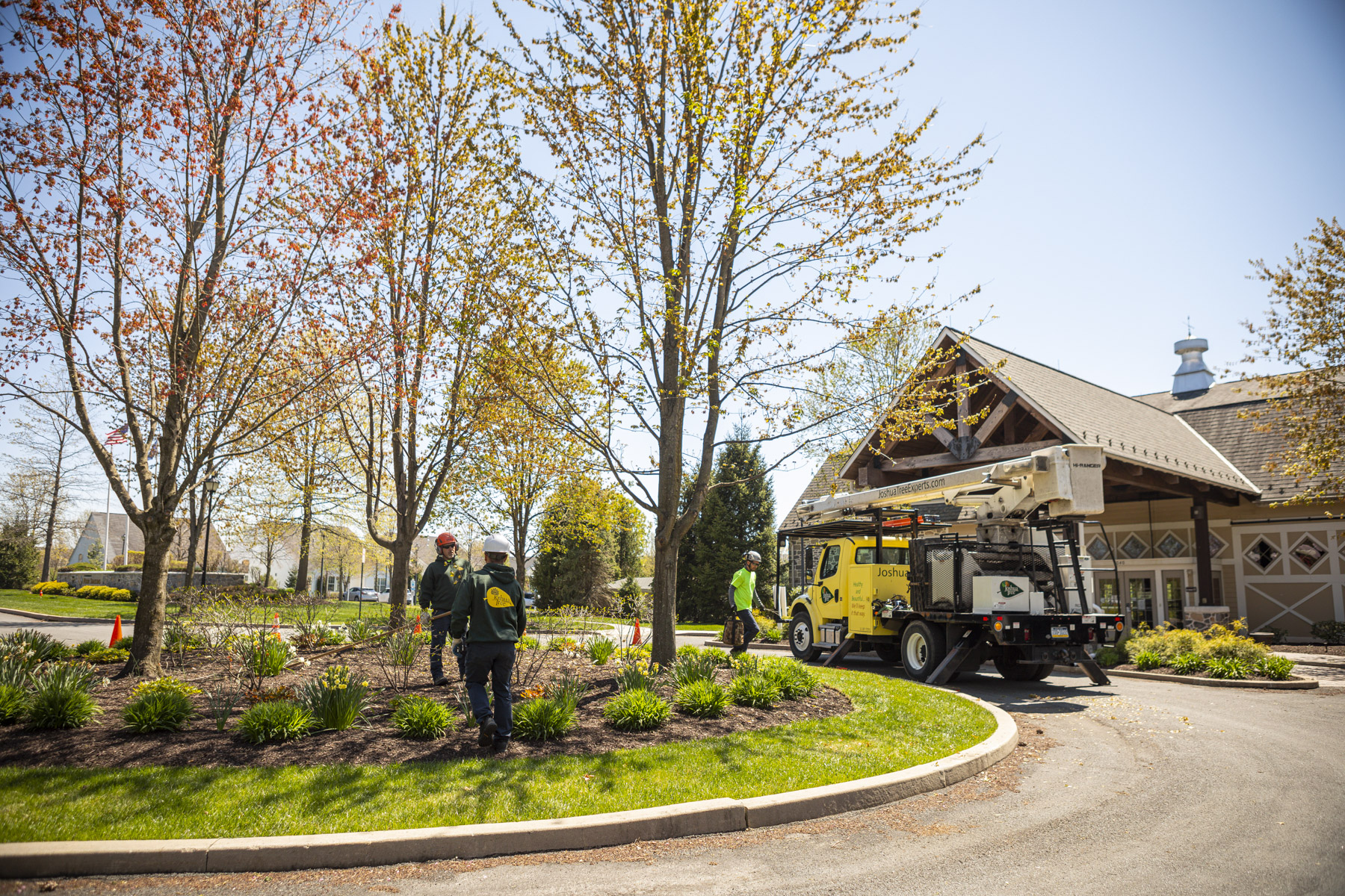 Signs of Winter Plant Damage: How to Tell Dormant from Damaged Plants