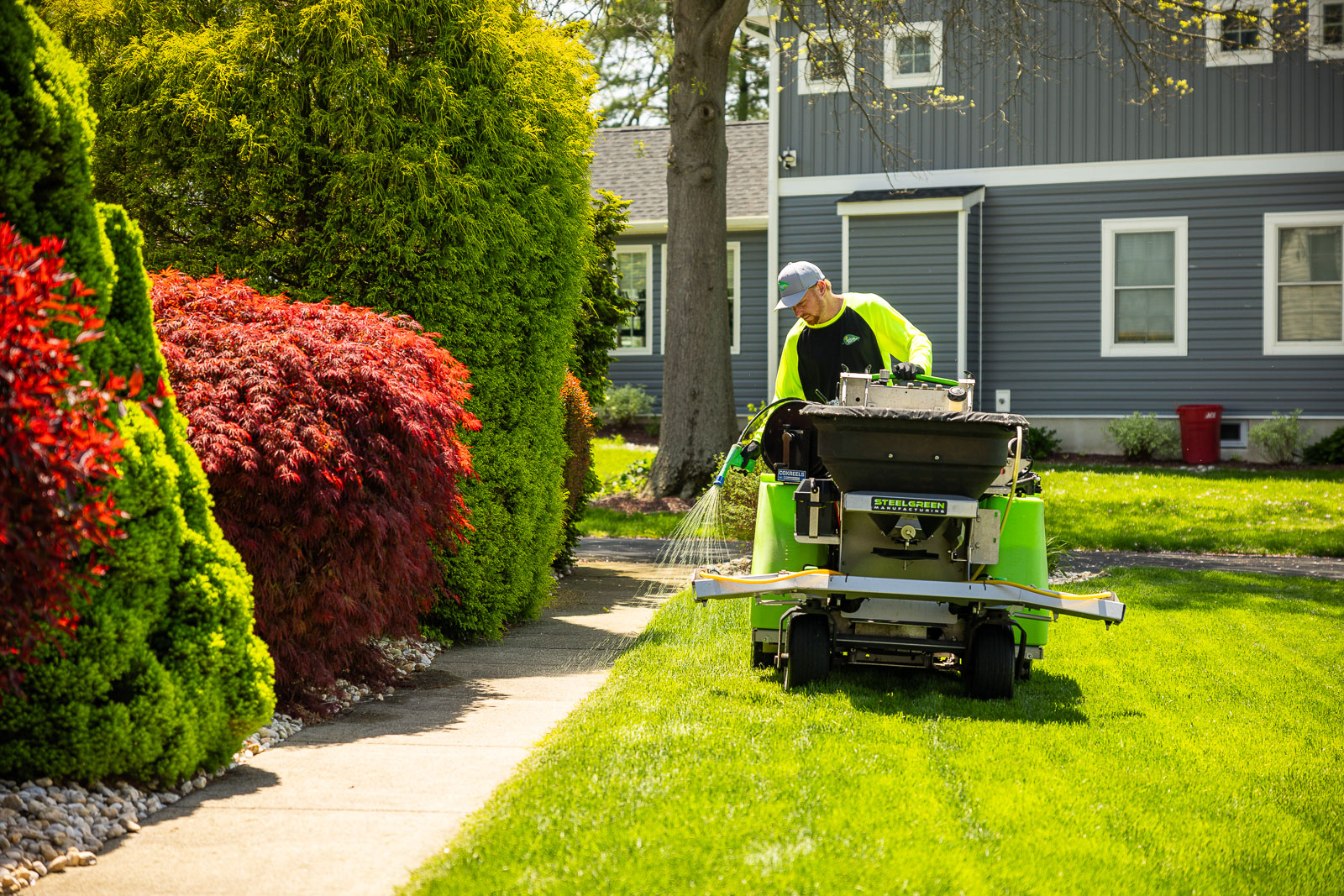 8 Common Lawn Weeds (and the Best Ways to Prevent to Treat Them)