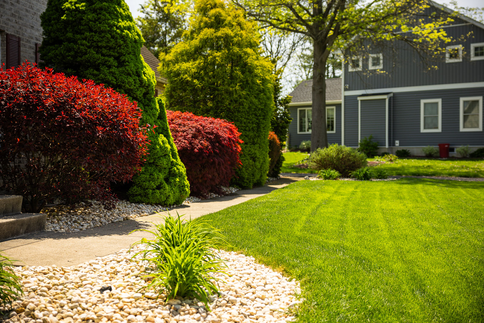 5 Common Myths About Lawn Watering & How To Do It Right