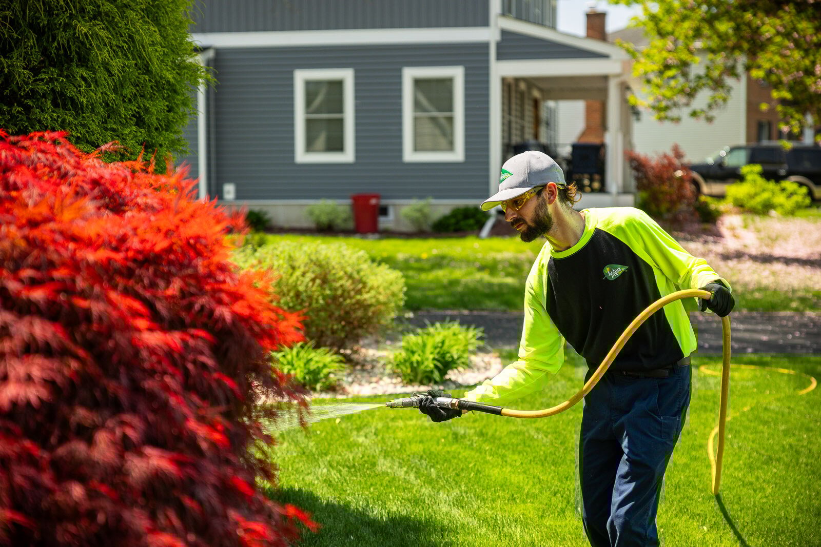 Locations | Joshua Tree Experts