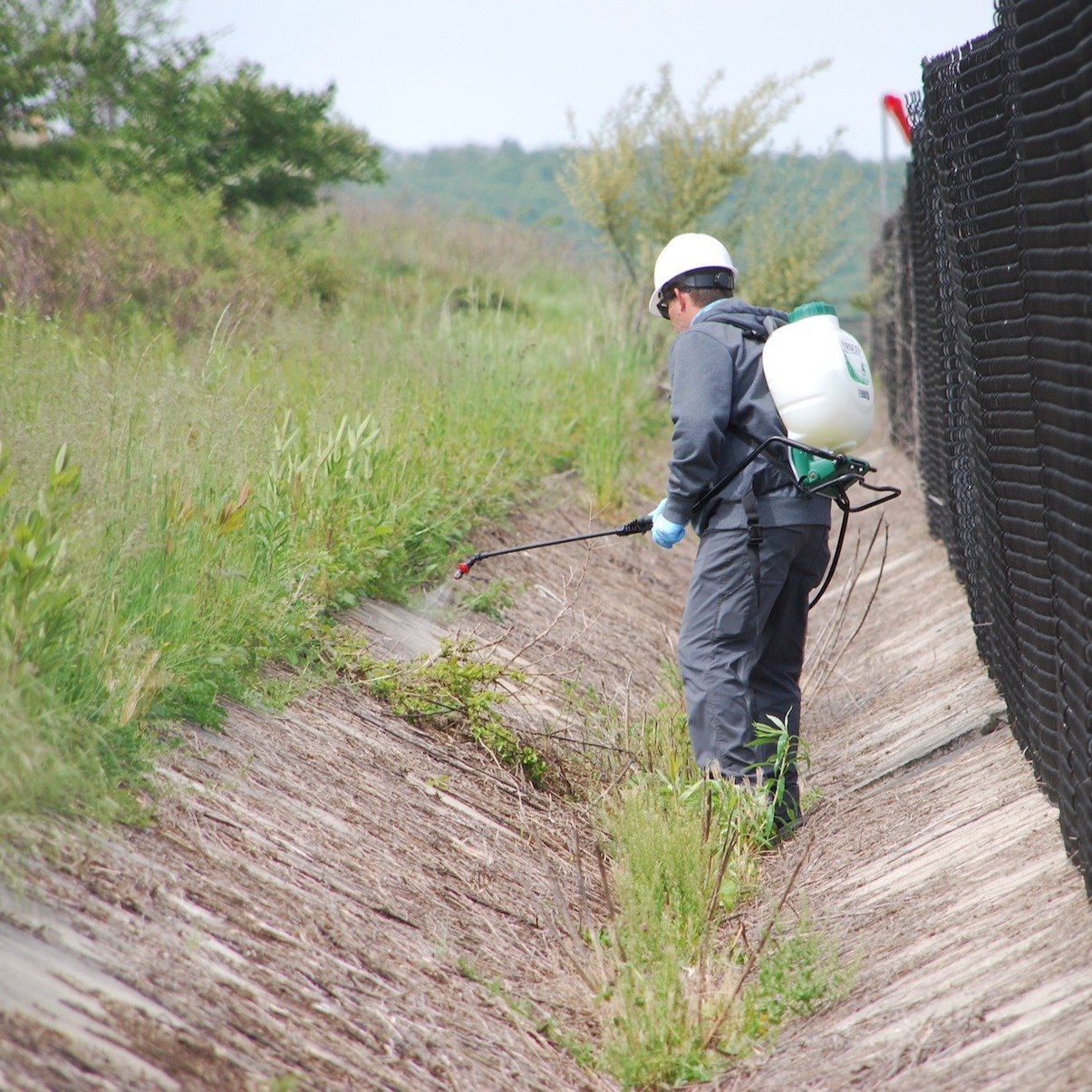 Commercial Tree Care, Lawn Care, Pest Control | Allentown, Lansdale, PA