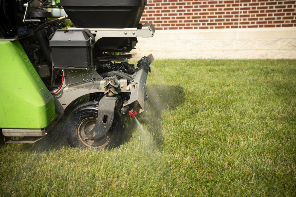 Understanding Pre-emergent vs. Post-emergent Weed Control
