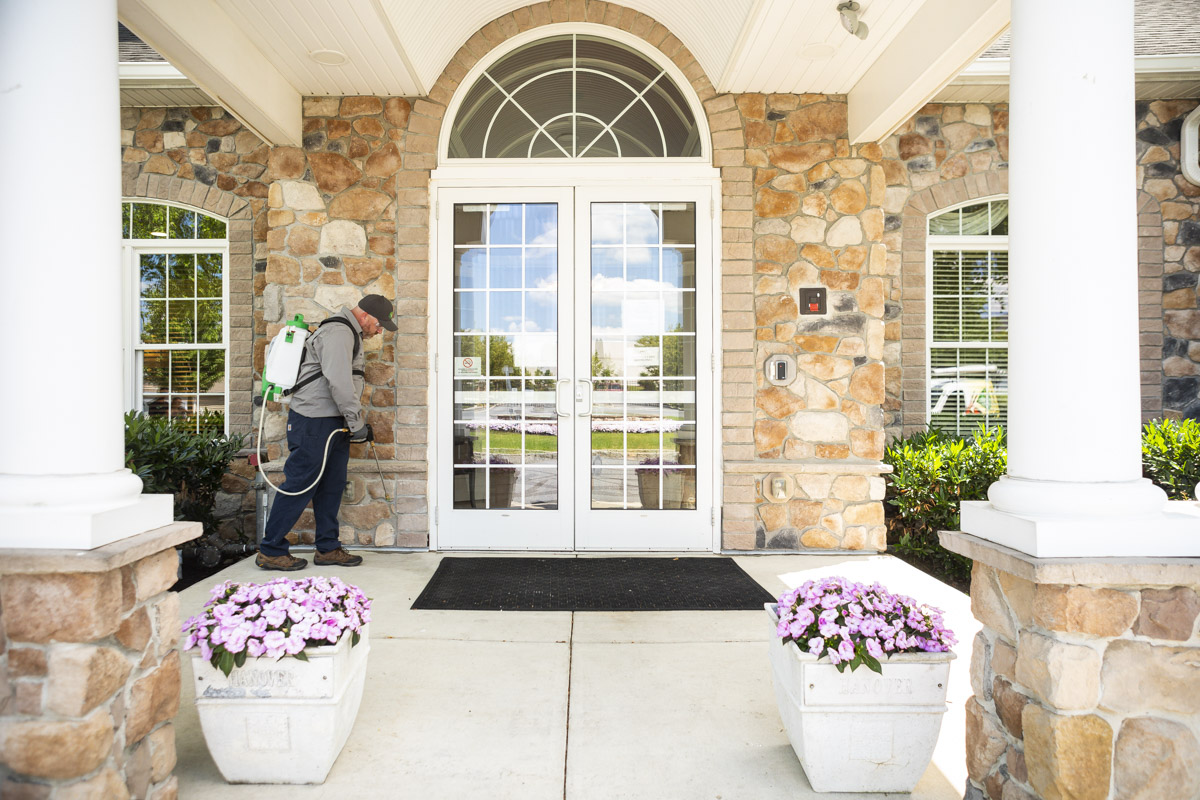 Effective Pest Control in and Around Your Home: A Comprehensive Guide