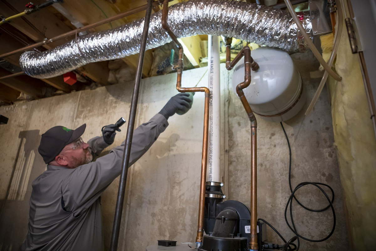 How to Identify and Get Rid of Basement Bugs