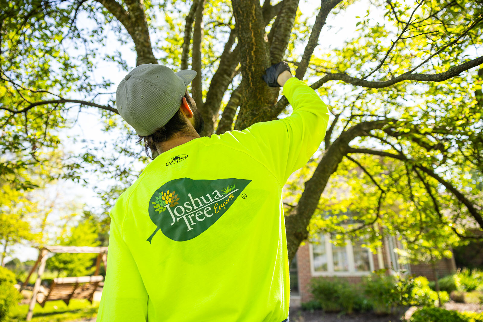 Tree Inspection: How Often, How it's Done and Potential Costs
